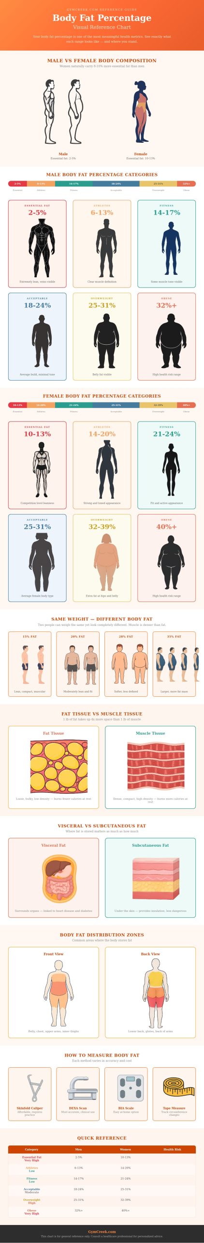 Body Fat Percentage Visual Chart - GymCreek