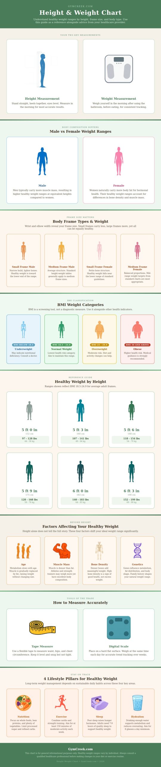 Height Weight Chart - GymCreek