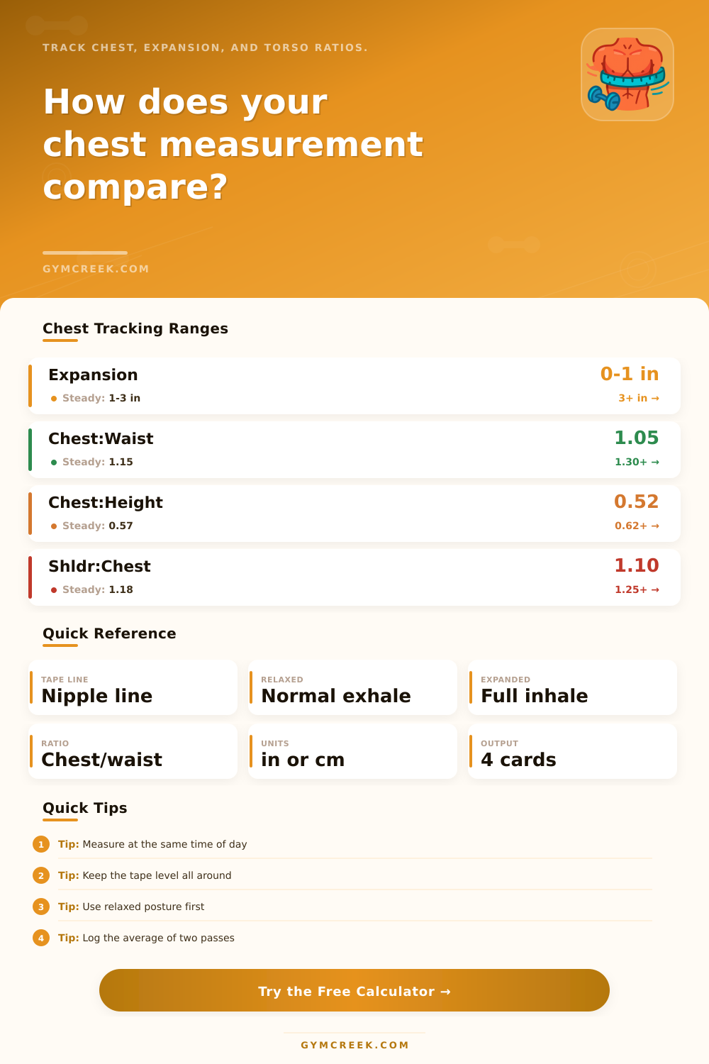 Chest Measurement Calculator - GymCreek