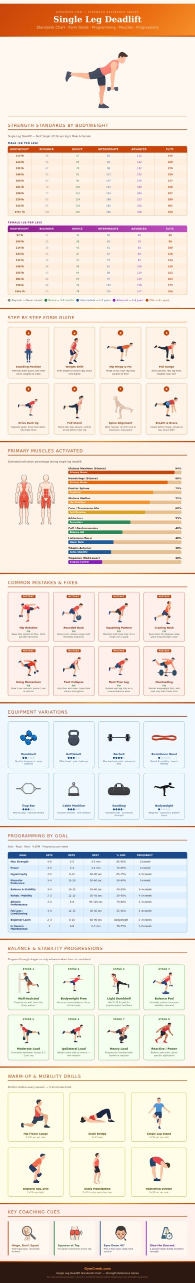 Single Leg Deadlift Standards Chart - GymCreek