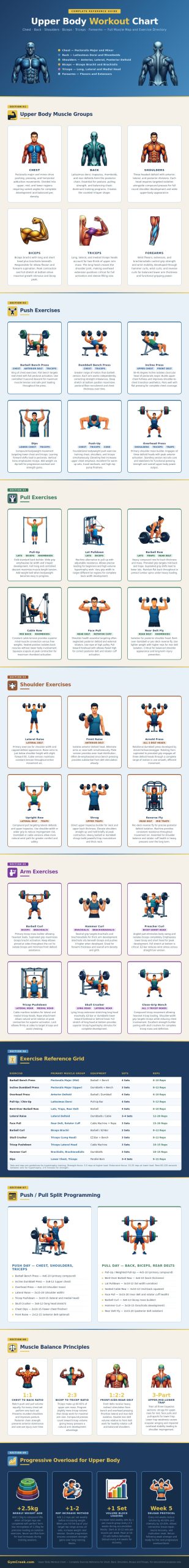 Upper Body Workout Chart - GymCreek