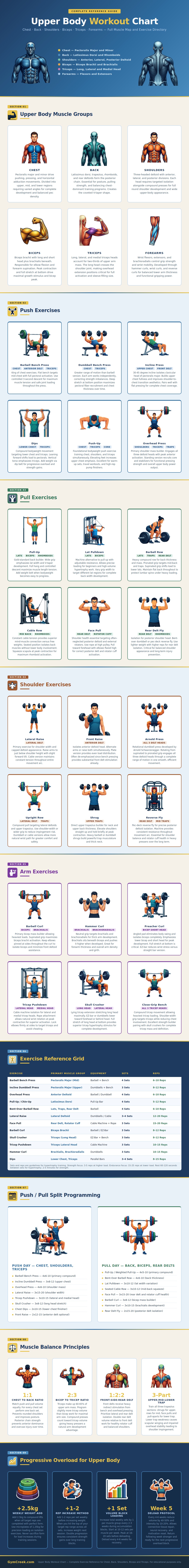 Upper Body Workout Chart - GymCreek